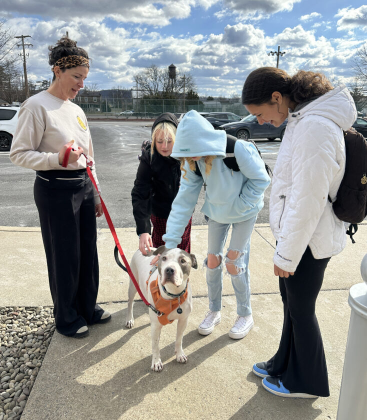 Therapy dog ‘enrolls’ at LycoCTC | News, Sports, Jobs - Williamsport ...